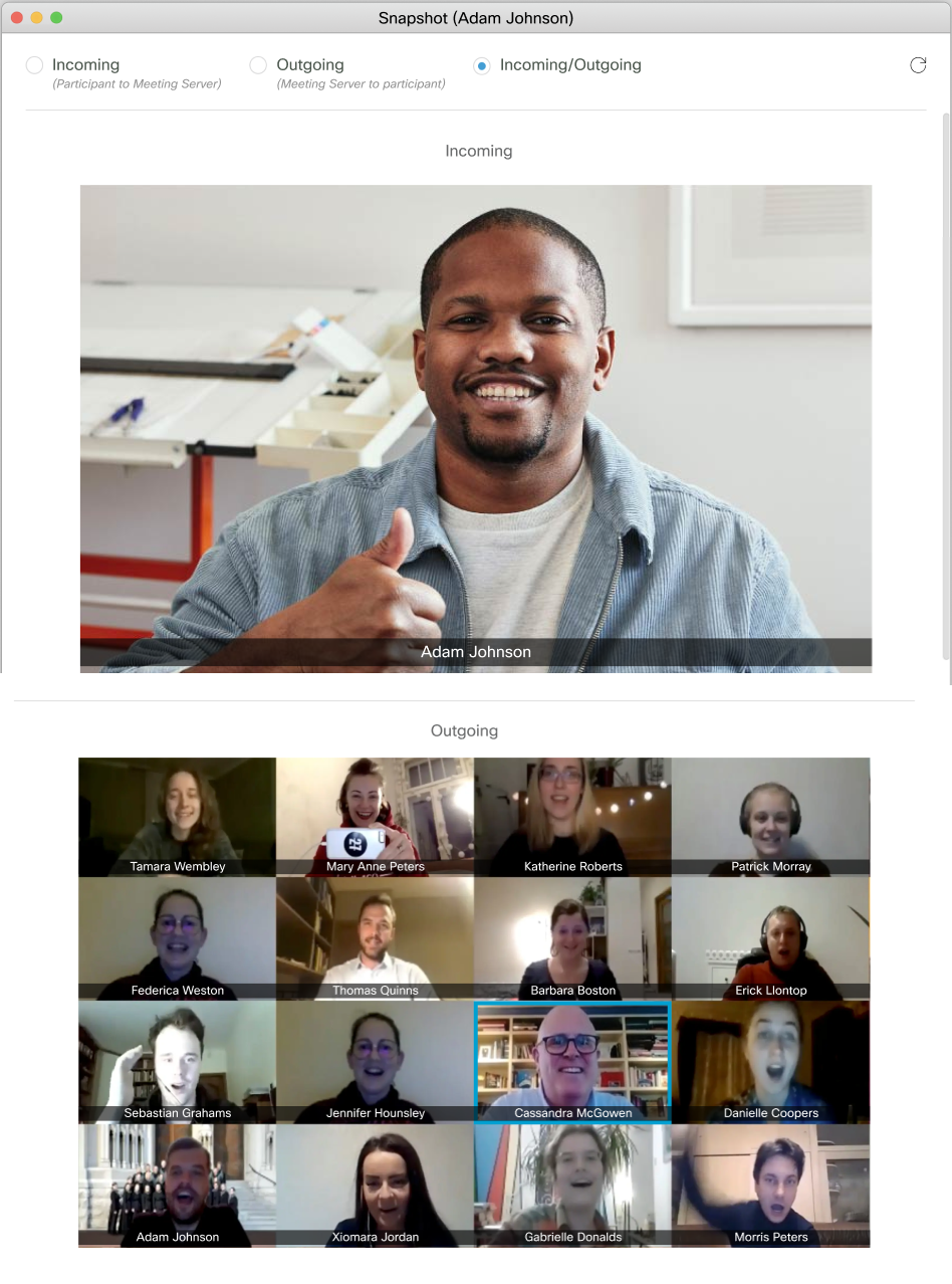Taking snapshots of participants in a meeting